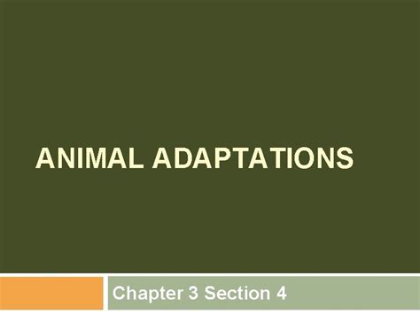 Animal Adaptations Chapter 3 Section 4 Types Of