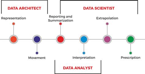 Analysts Vs Scientists The Big Data Puzzle