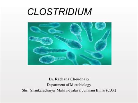 Clostridiumpptx
