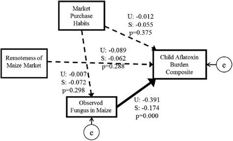 final structural equation model of february 2017 market model dwls
