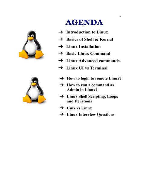 Liinux Basics Pdf Installation Computer Programs Superuser