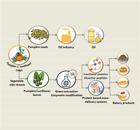 Multifunctional Leaf Protein And Assembled Nanocarrier Structures Delivered By Enzyme Technology