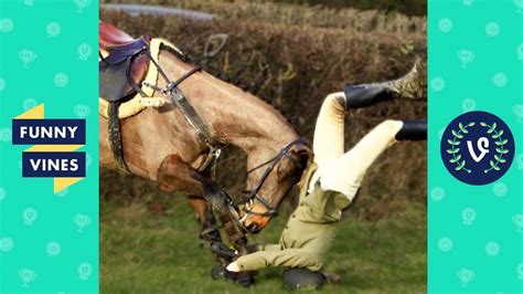 Funny Horse Videos Best Funniest Horses Of The Week Funny And Cute