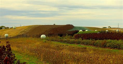 Methane Capture Projects Using Technology To Reduce Methane Emissions