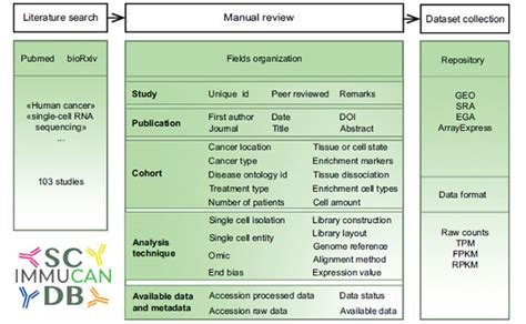IMMUcan ScDB A Fully Integrated ScRNA Seq Database Exclusively Dedicated To Human Cancer RNA