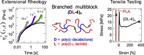 基于聚丙交酯的支链多嵌段聚合物的合成与流变学 Macromolecules X Mol