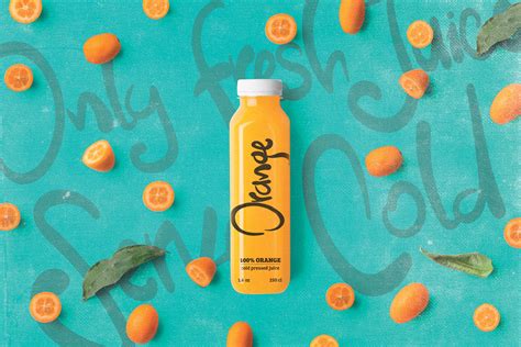 Zefir Script Font Masterbundles