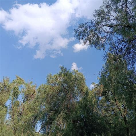 Ivana Duque Sunset Beautiful View ️😎 Facebook