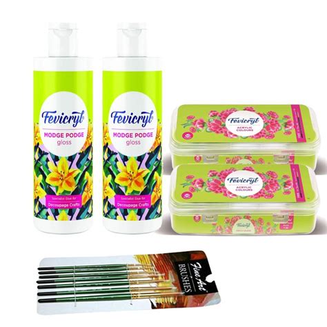 Pidilite Creative Art And Craft Kit Fevicryl Modge Podge Gloss