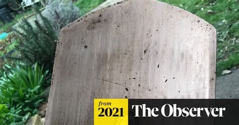 Digging Down With A Robin And Nostalgia For Companions Gardening Advice The Guardian