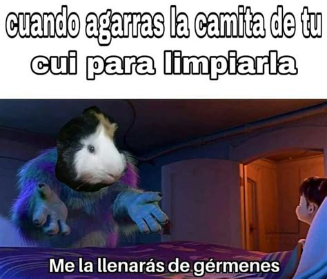 Pin De Cuyitos🐹💫 Mis Cuyos En Cobayas Mascota Imágenes Divertidas