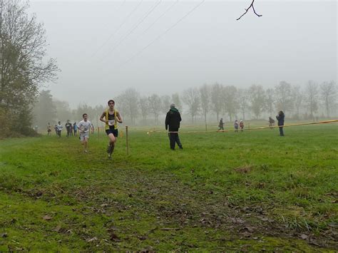 Free Images Fog Mist Sport Meadow Running Ash Plain