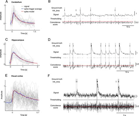 Estimation Of The Ca Spike Model And Spike Detection By Hatime A Ca Download Scientific