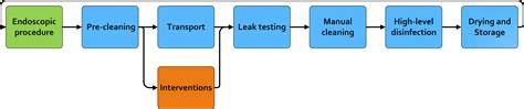 A Dynamic Flow Model Mimicking Duodenoscope Reprocessing After