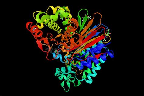 Gamma Glutamyltransferase 1 3d Structure Stock Illustration