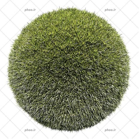عکس با کیفیت توپی از چمن سبز در پس زمینه سفید عکس با کیفیت و تصاویر
