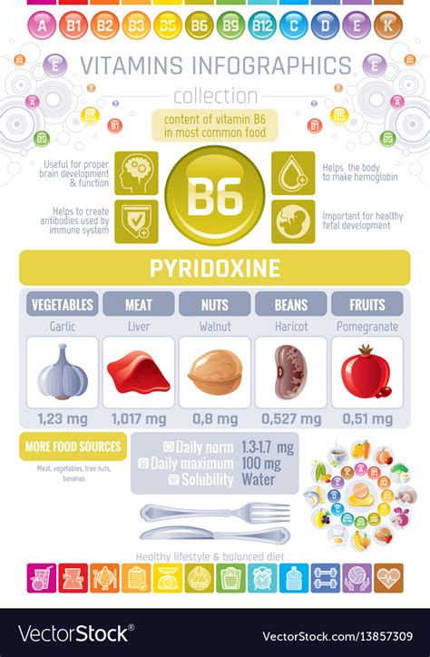 Pyridoxine Vitamin B6 Rich Food Icons Healthy Vector Image