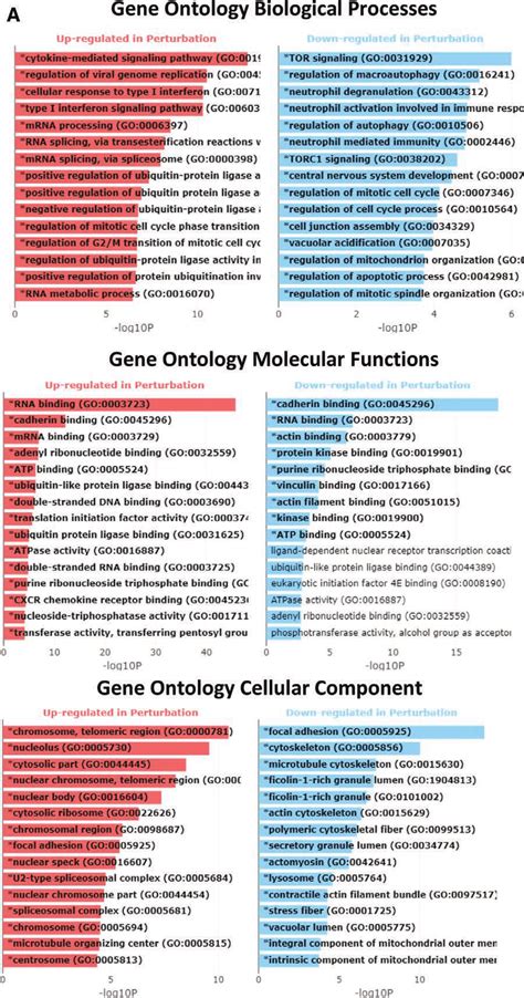 Gene Ontology Enrichment Analysis The Bar Charts Display The Results