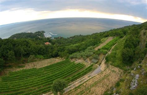 Carso Wineries To Visit
