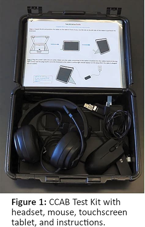 Remotely Administered Computerized Cognitive Test Battery With Older Adults Chok 2022