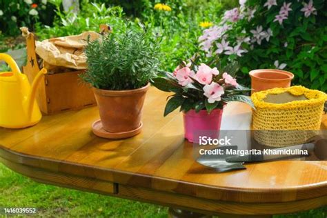 원예 개념 화분에 꽃을 피우는 식물과 뒤뜰 정원의 테이블에 심기위한 품목 0명에 대한 스톡 사진 및 기타 이미지 0명 가정 생활 꽃 식물 Istock