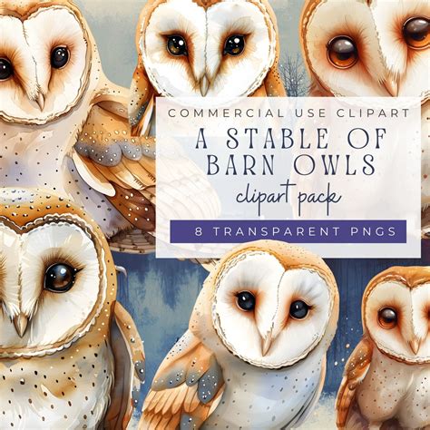 A Stable Of Barn Owls Clip Art Collection Owl Clipart Nature Bird