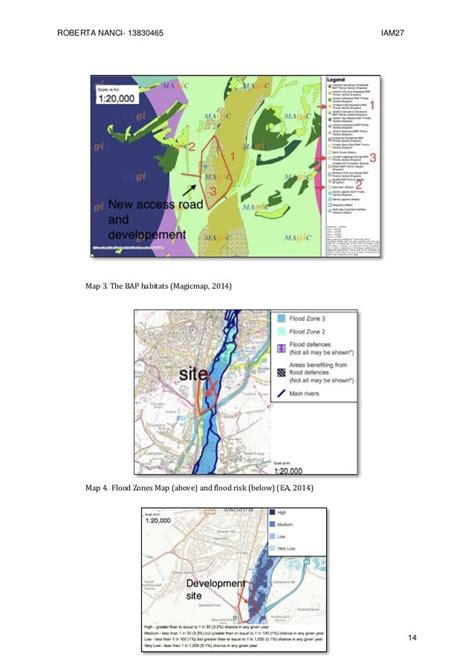 eia scoping report