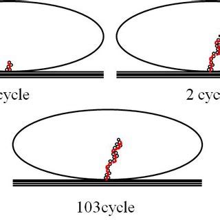 Stress Deflection Curves Table1 Summary Of Bending Properties Download Scientific Diagram