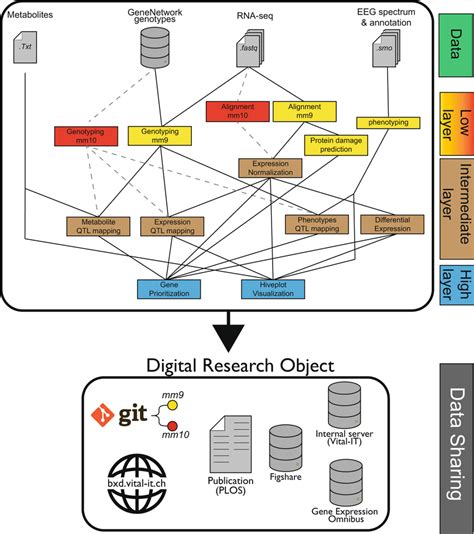 Of The Bioinformatic Analytical Pipeline Representation Of The Main Download Scientific