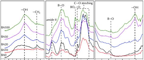 Ftir Spectra Of Boric Acid Modified Chitosan Scaffolds Slika 2 Ftir
