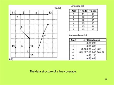 6 Raster And Vector Data Classification And Uses Ppt
