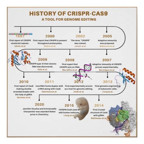 History Of Crispr Genome Editing Timeline Poster Zazzle