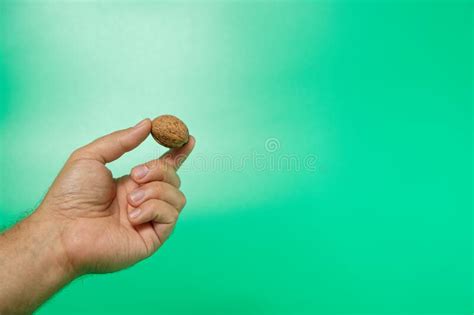 Hand Holding Magnifying Glass And Bugs On Paper With Printed Hexadecimal Program Source Code