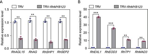 Qrt Pcr Detect The Expression Of Selected Degs From Rna Seq A Four Download Scientific Diagram