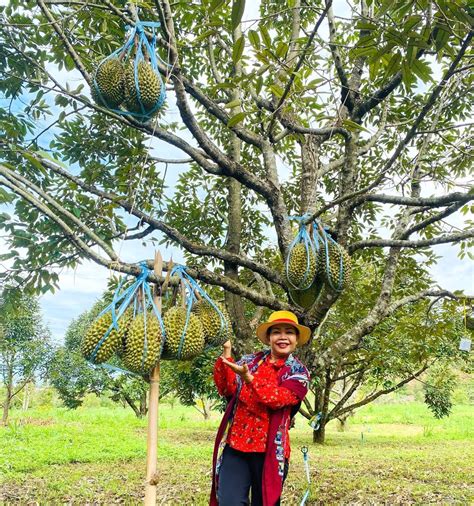 ចំការទុរេន ហ៊ឹម ស៊ីវន Added A New ចំការទុរេន ហ៊ឹម ស៊ីវន