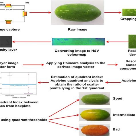 The Schematic Representation Of The Proposed Methodology Adopted