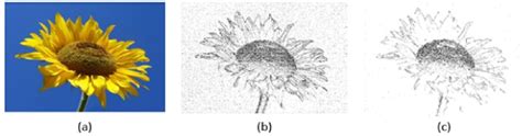 figure 5 from image edge detection using fuzzy logic controller