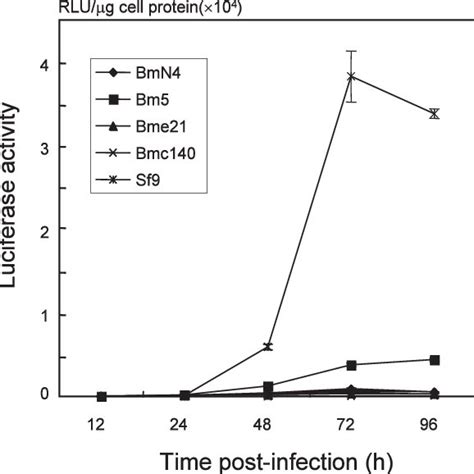 Time Course Of Luciferase Expression In Four B Moriderived Cell Lines