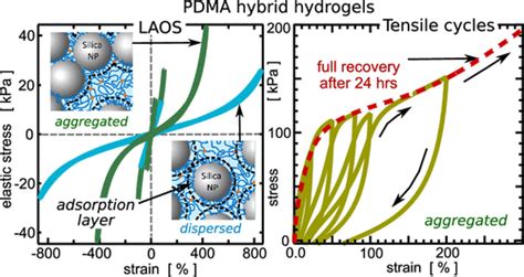 Double Networks Hybrid Hydrogels With Clustered Silica Macromolecules