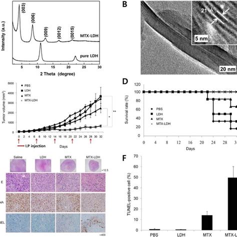 A X Ray Diffraction Xrd Patterns B High Resolution Transmission