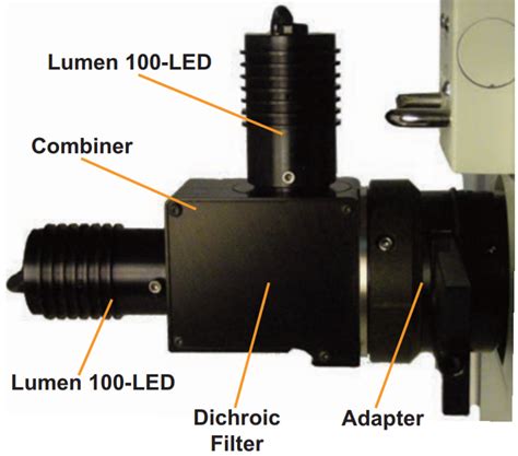 Lumen 100 Led 螢光光源系統