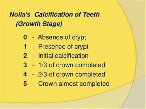 Eruption Of Teeth