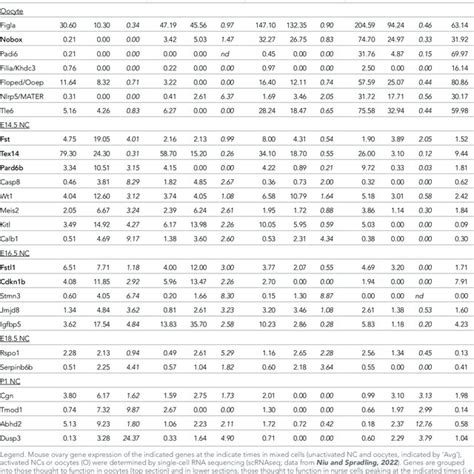 Oocyte And Nurse Cell Nc Gene Expression Download Scientific Diagram