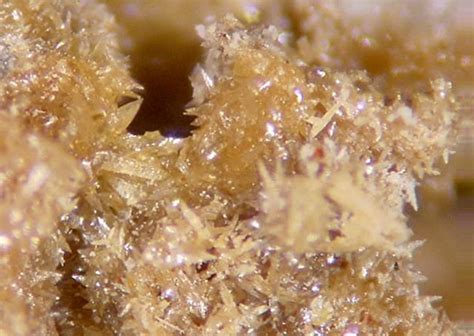 E Rocks Mineral Auctions