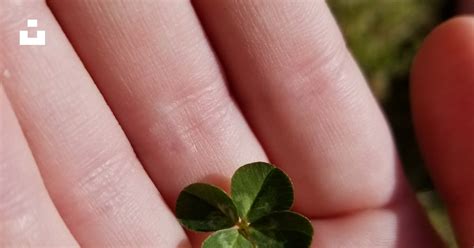 손에 작은 녹색 잎을 들고있는 사람 사진 Unsplash의 무료 사람의 이미지