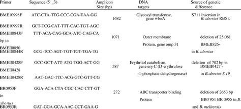 Primer Sets For Multiplex PCR Download Scientific Diagram