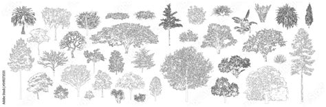 Cad Tree Symbols