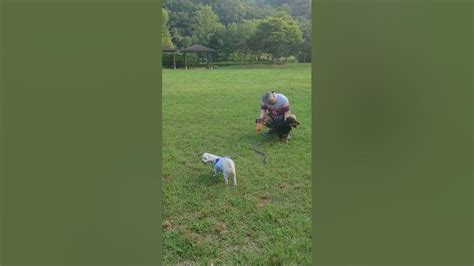 부쩍 애교가 많아진 길동이~ Youtube