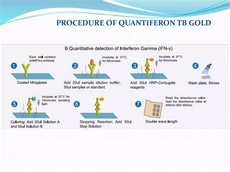 Quantiferon Tb Gold Pptx
