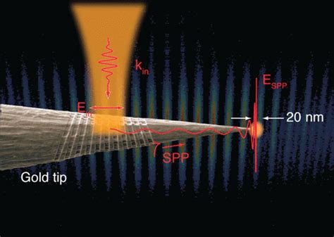 Light On The Tip Of A Needle Plasmonic Nanofocusing For Spectroscopy